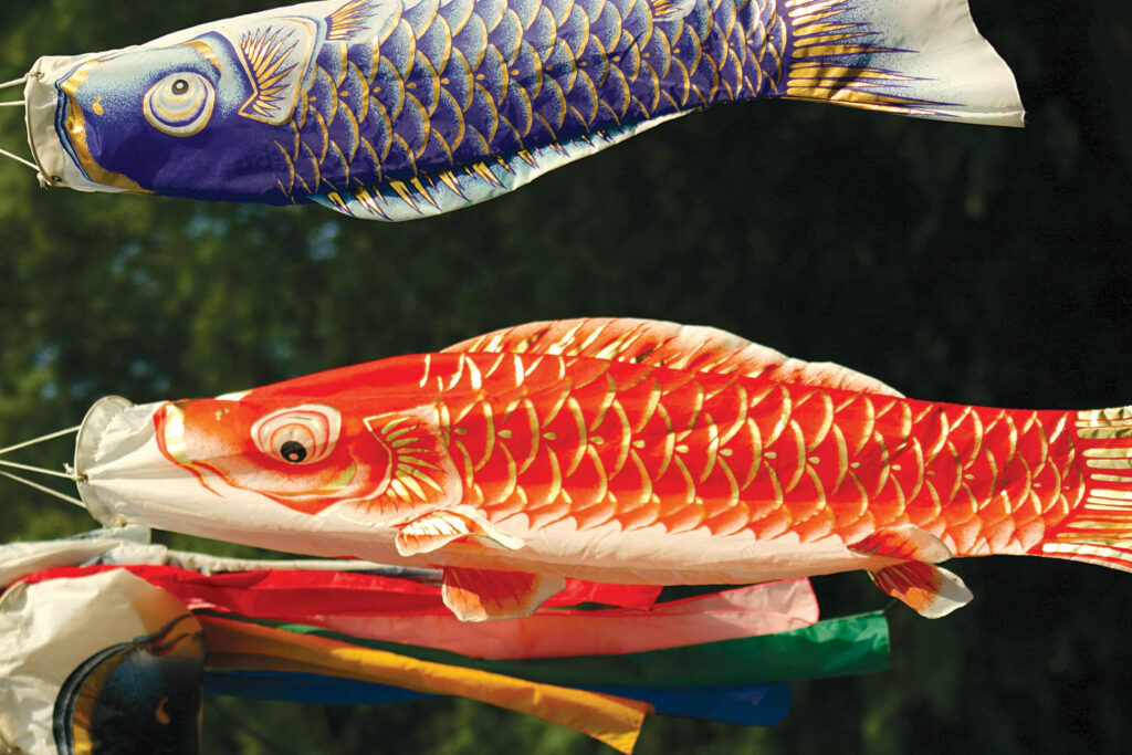 No140 [TRAVEL] An encounter with flying koi carp